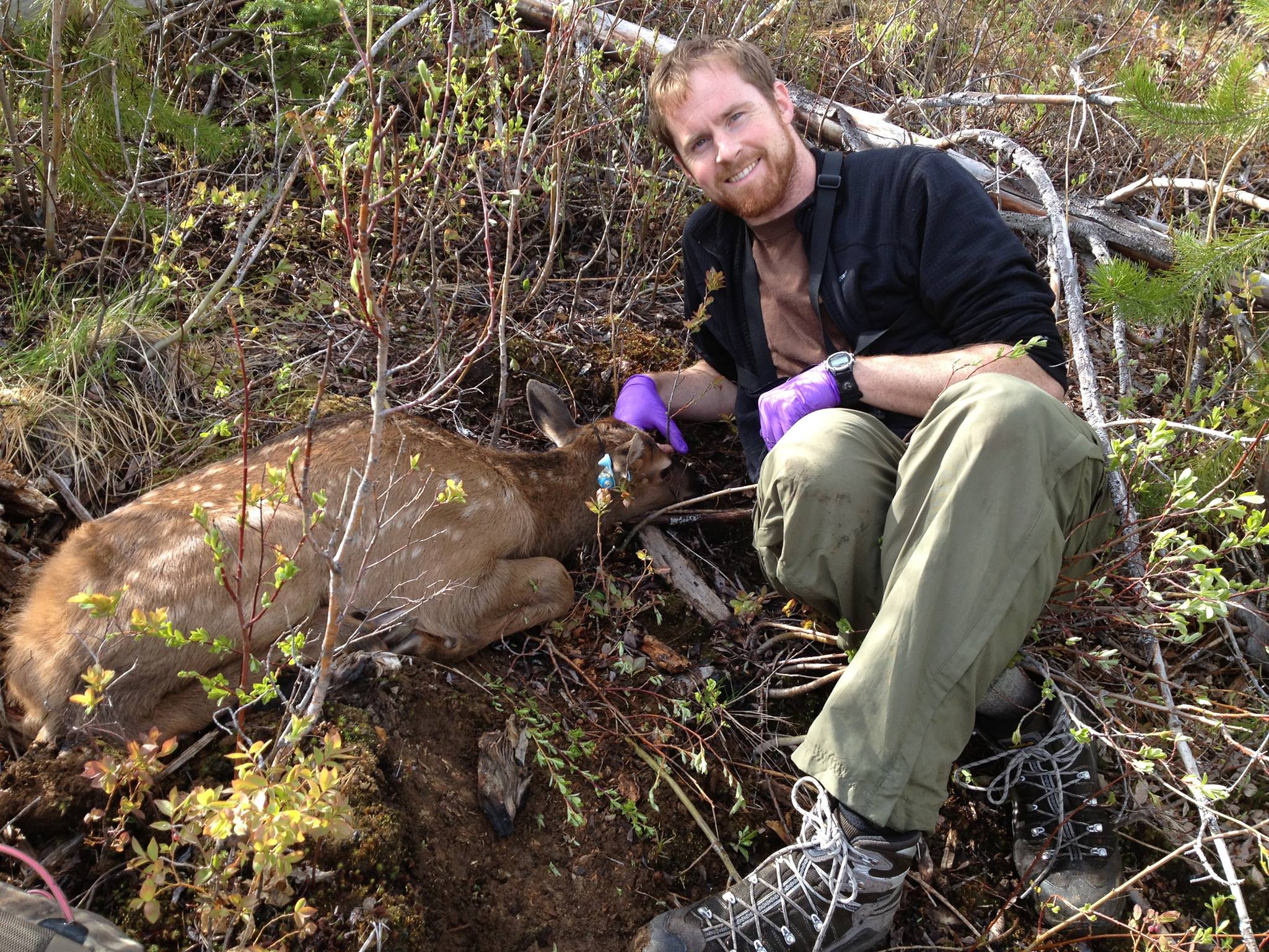 About Us – Taurus Wildlife Consulting